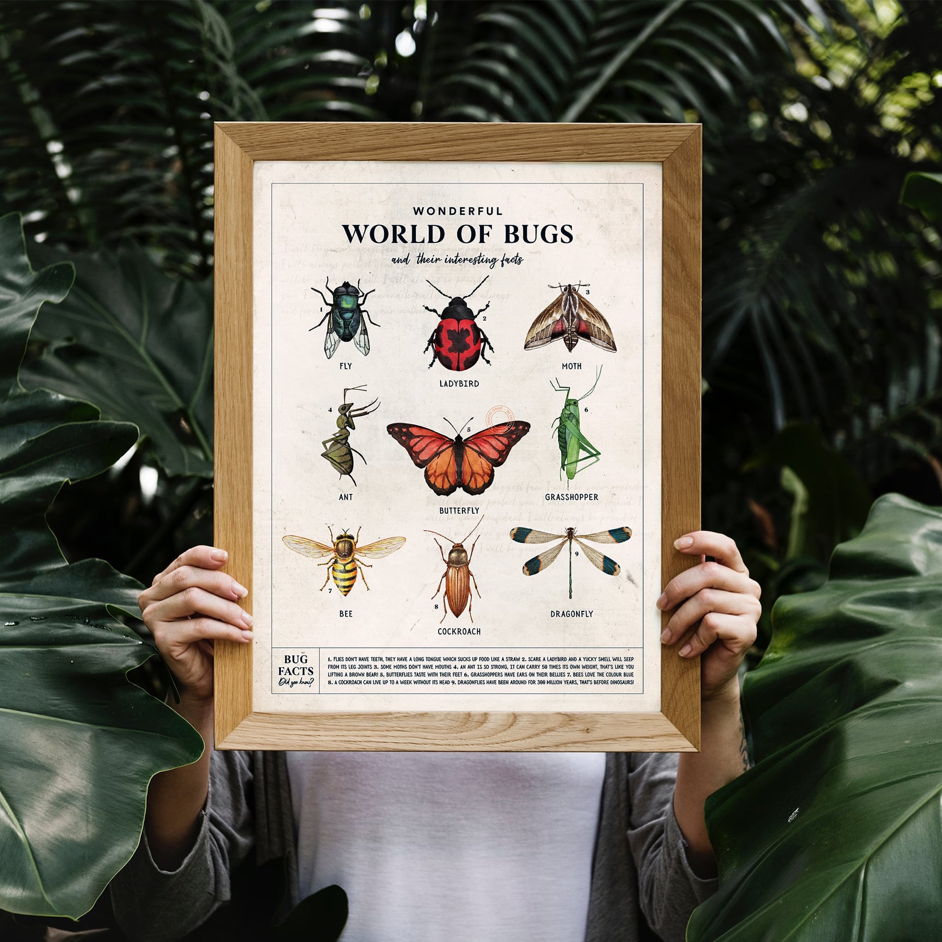 Wonderful World of Bugs Poster – The Creative Sprout