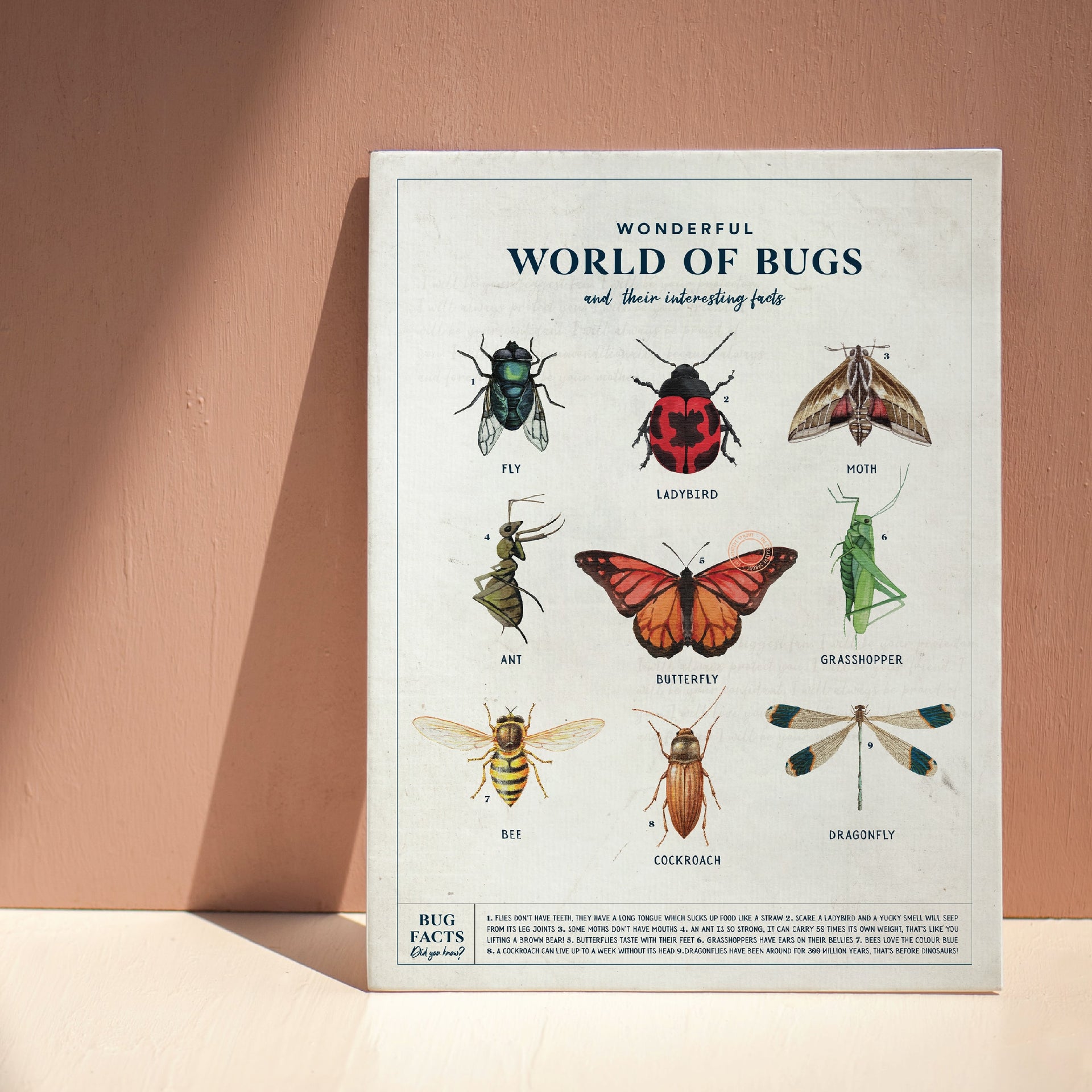 Wonderful World of Bugs Poster – The Creative Sprout